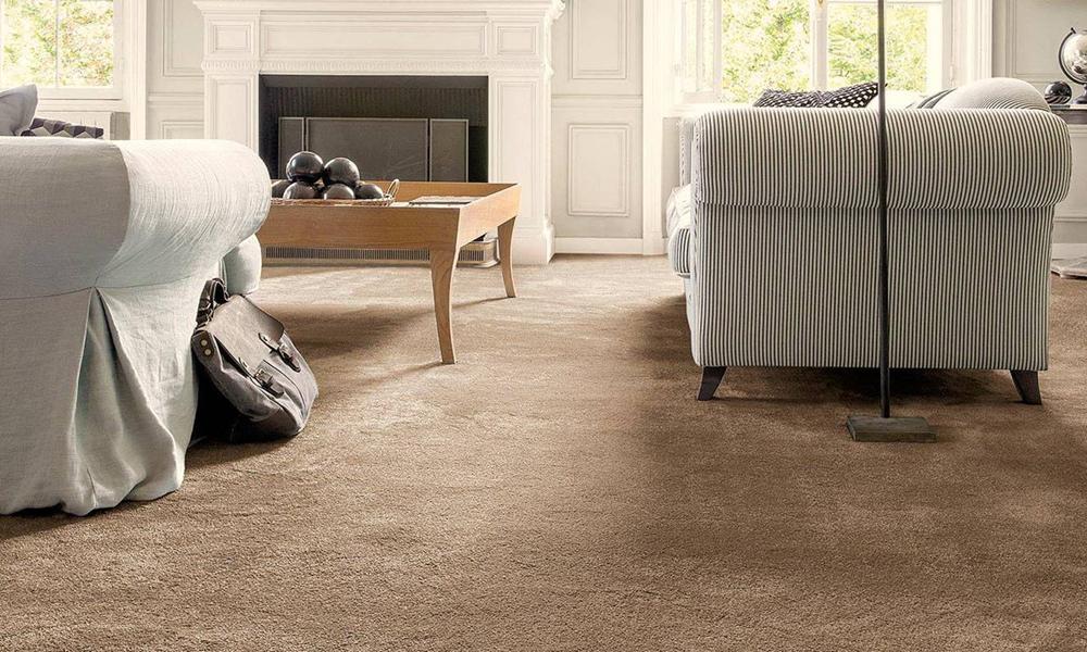 Nice Carpet – Fenestra Solutions